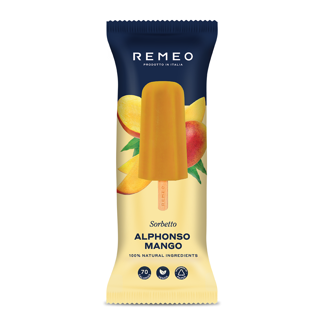 REMEO Take Home Ice Cream